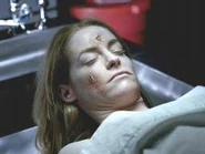 CSI: Crime Scene Investigation (2000 series) | Cinemorgue Wiki | Fandom