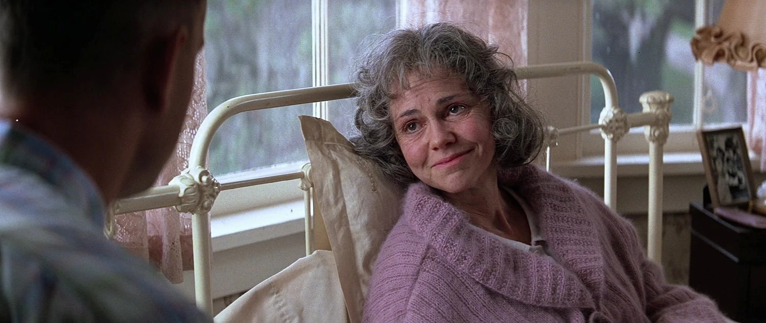 Sally Field | Cinemorgue Wiki | Fandom