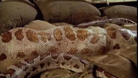 Jason Tompkins | Cinemorgue Wiki | Fandom