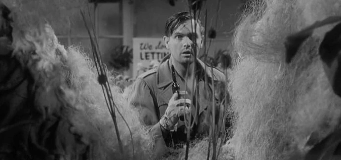 Charles B. Griffith | Cinemorgue Wiki | Fandom