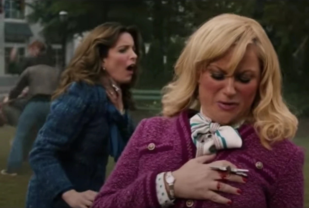 Amy Poehler | Cinemorgue Wiki | Fandom