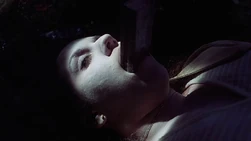 Robyn Flanery | Cinemorgue Wiki | Fandom