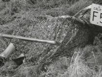 Olive Blakeney | Cinemorgue Wiki | Fandom