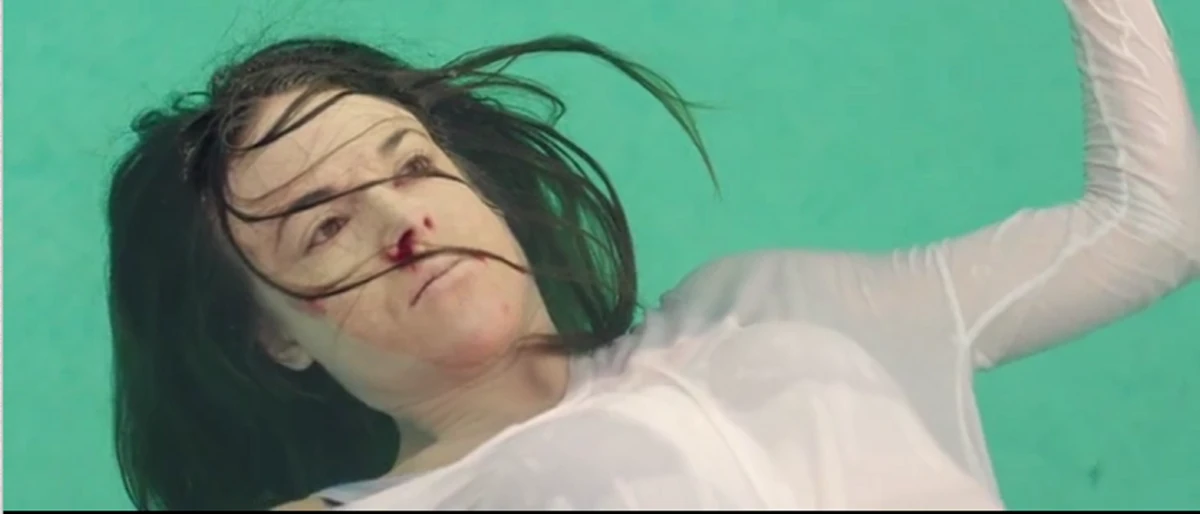 Sarah Butler The Stranger Inside