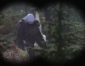 Jeff Irvine | Cinemorgue Wiki | Fandom