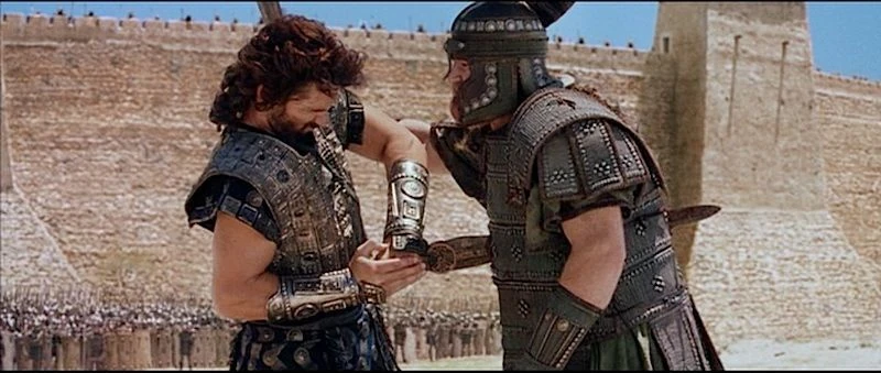 Brendan Gleeson Troy