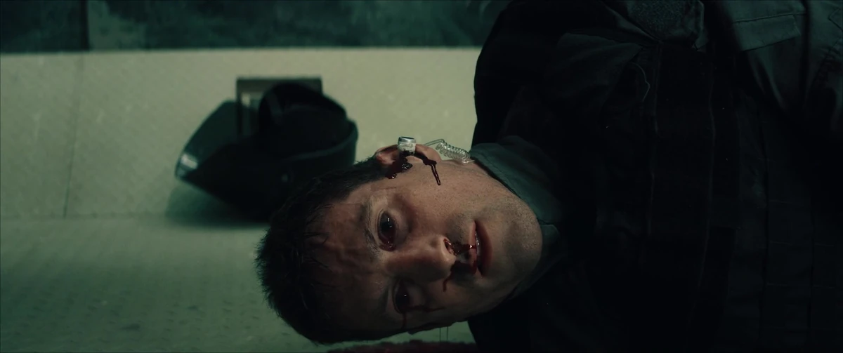Christopher Di Meo | Cinemorgue Wiki | Fandom