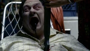 Stephen Root | Cinemorgue Wiki | Fandom