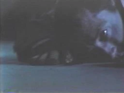 Frank Moore | Cinemorgue Wiki | Fandom