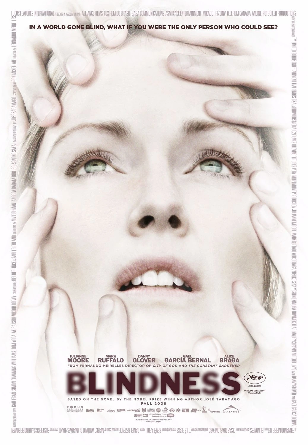 Blindness (2008) | Cinemorgue Wiki | Fandom