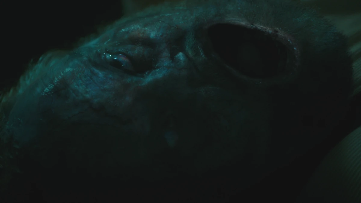 Category:The Ring Films | Cinemorgue Wiki | Fandom