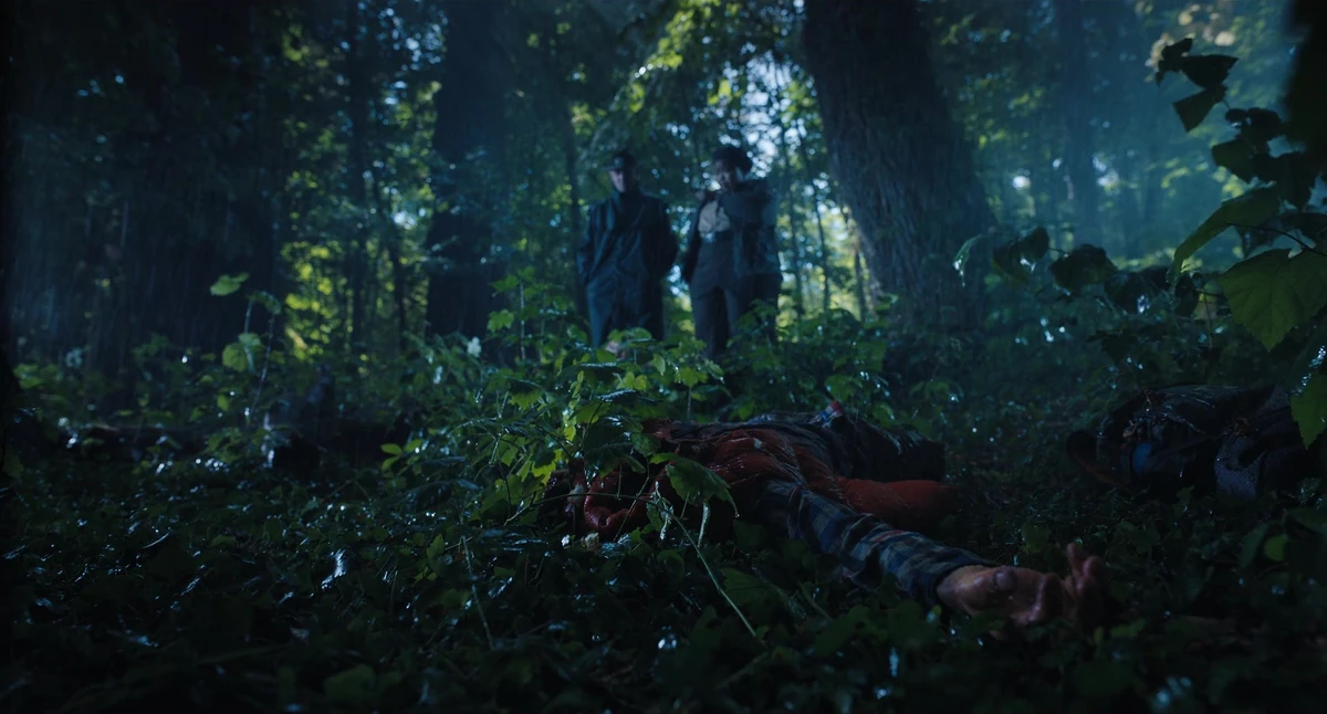 Wednesday (2022 series) | Cinemorgue Wiki | Fandom