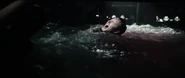 Crawl (2019) | Cinemorgue Wiki | Fandom