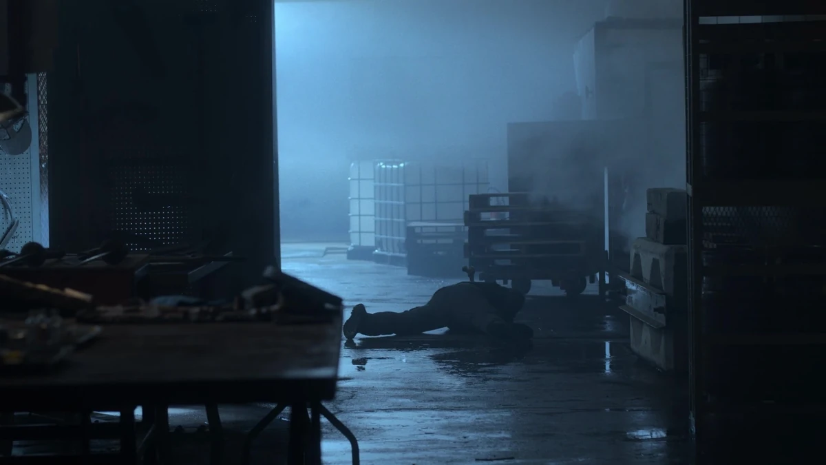 Shekhar Paleja | Cinemorgue Wiki | Fandom