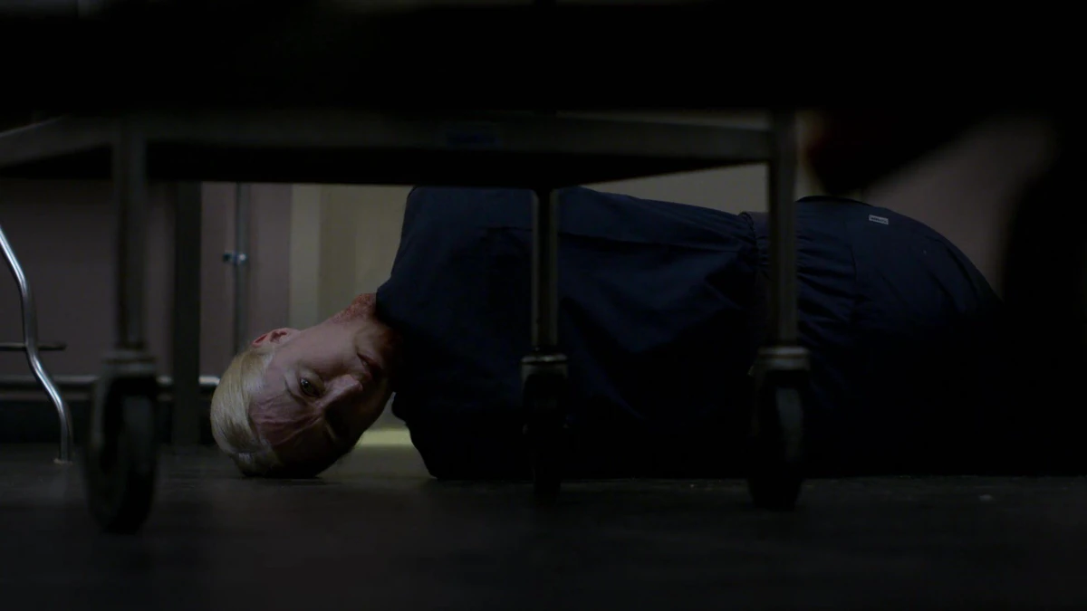 LeeAnne Hutchison | Cinemorgue Wiki | Fandom