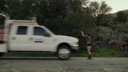 Cortney Palm | Cinemorgue Wiki | Fandom