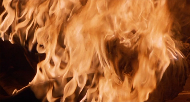 Category:Death scenes by accidental decapitation | Cinemorgue Wiki | Fandom