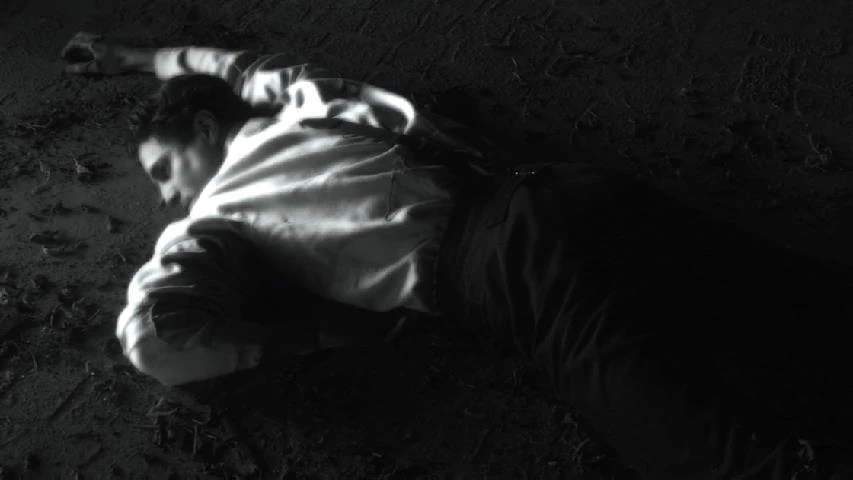 David Alexander Miller | Cinemorgue Wiki | Fandom