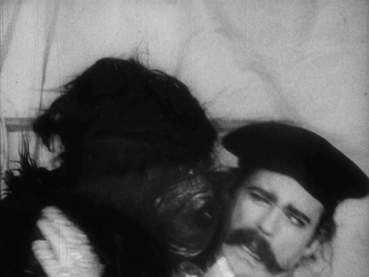 Bernie Boyle | Cinemorgue Wiki | Fandom