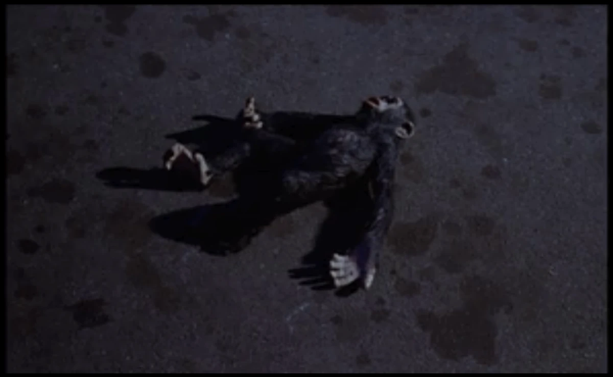 Paul Stockman | Cinemorgue Wiki | Fandom