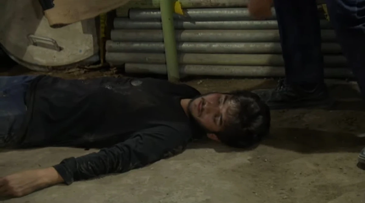 Matt Evans | Cinemorgue Wiki | Fandom