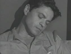 Ross Martin Actor
