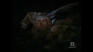 Ed Nelson | Cinemorgue Wiki | Fandom