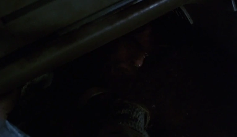 Category:Under the Dome Cast Members | Cinemorgue Wiki | Fandom