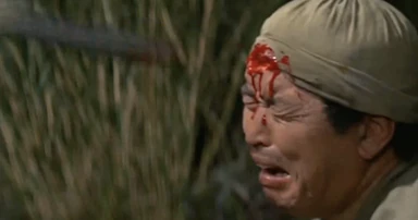 Li Wan | Cinemorgue Wiki | Fandom