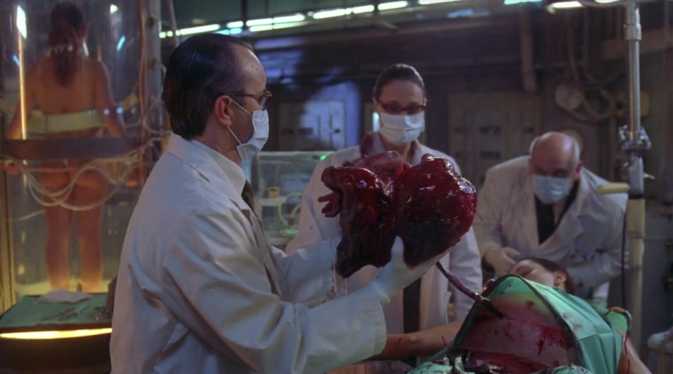 Hammerhead (2005 TV Movie) | Cinemorgue Wiki | Fandom