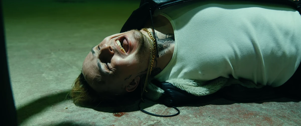 Cameron Cook | Cinemorgue Wiki | Fandom