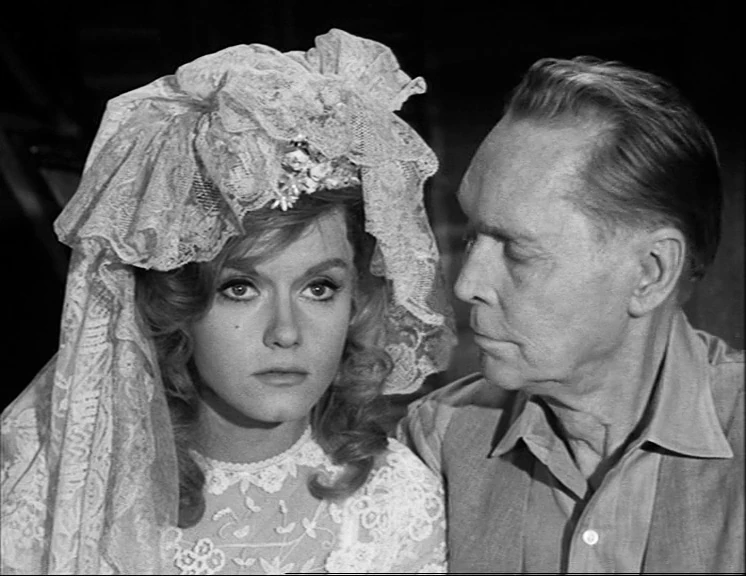 Sharon Farrell | Cinemorgue Wiki | Fandom