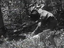 Ian Keith | Cinemorgue Wiki | Fandom