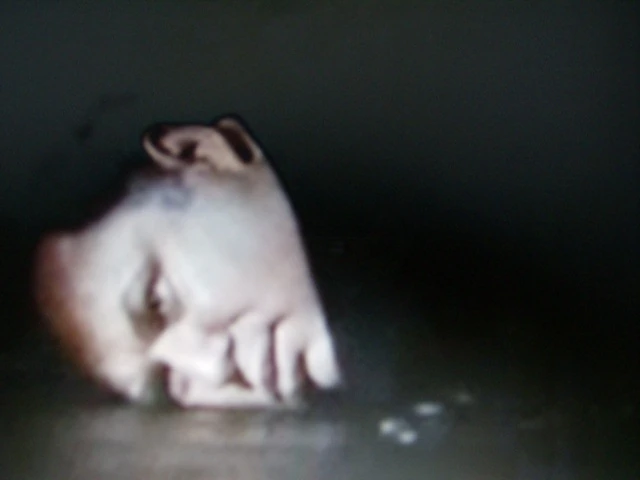 Al Waxman | Cinemorgue Wiki | Fandom