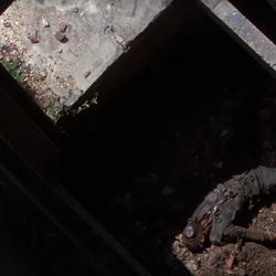 Rosemary Murphy Cinemorgue Wiki Fandom Powered By Wikia Category:In