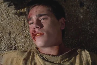 brooke harman walker