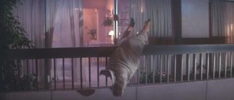Terri Welles | Cinemorgue Wiki | Fandom