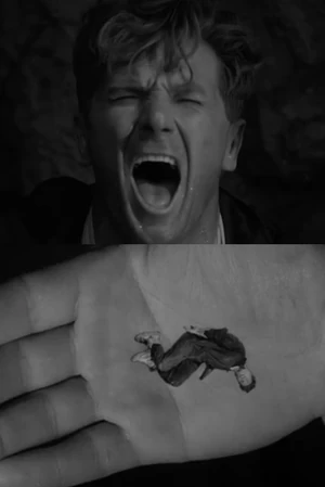 Joe Maross | Cinemorgue Wiki | Fandom