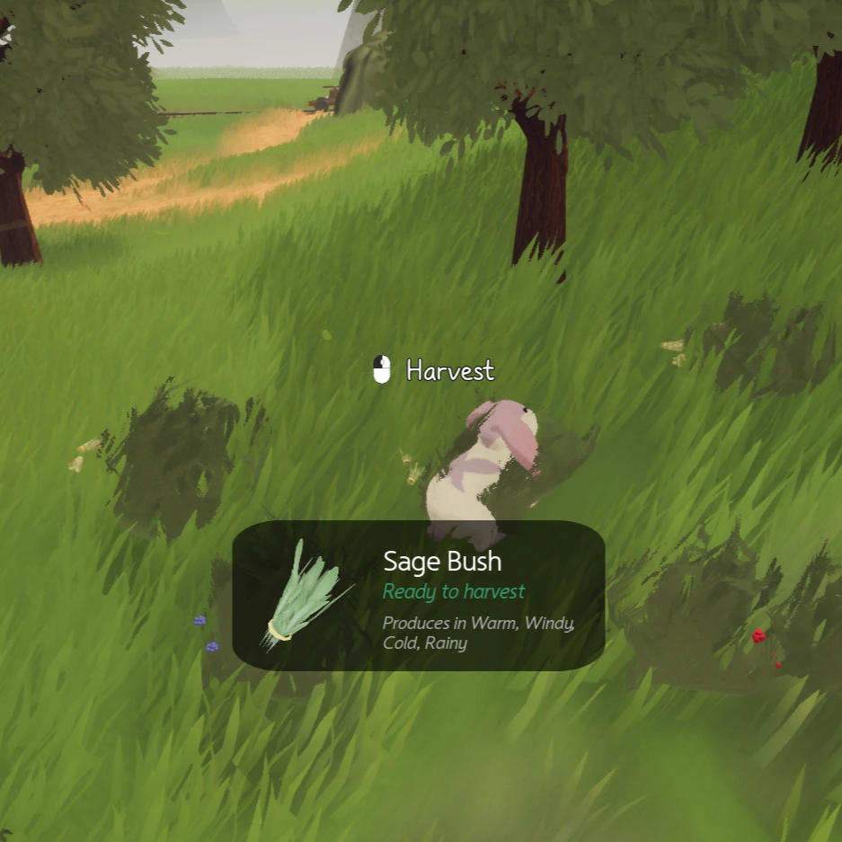 Sage (ingredient) | Cinnabunny Wiki | Fandom