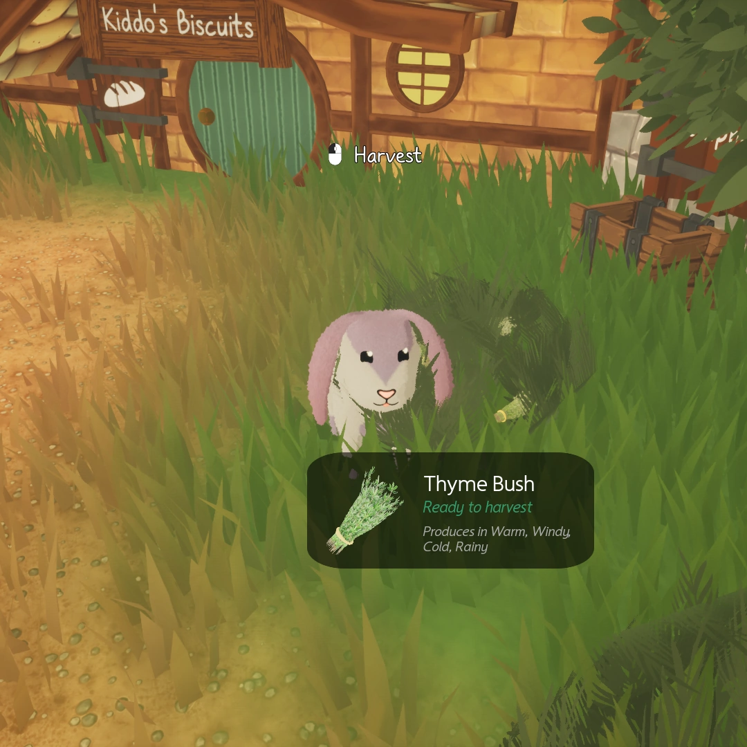 Thyme | Cinnabunny Wiki | Fandom