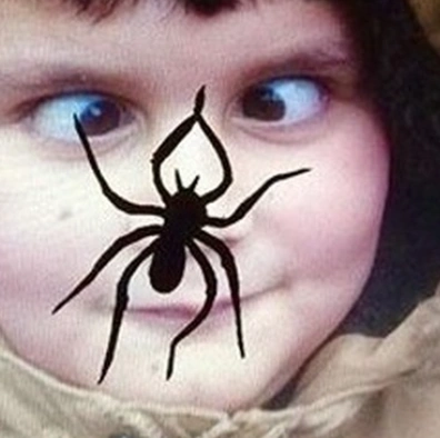 Spooder | Cirque De Vegas Wiki | Fandom