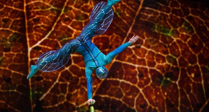 OVO | Wiki Cirque | Fandom