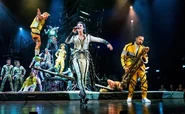 Bazzar | Cirque du Soleil Wiki | Fandom