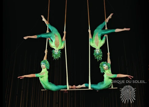 Trapecio Triple | Wiki Cirque | Fandom