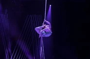 Bazzar | Cirque du Soleil Wiki | Fandom