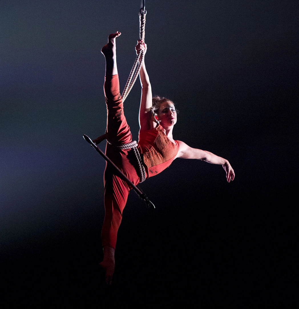 Danza en Trapecio | Wiki Cirque | Fandom