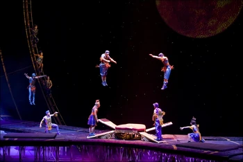 Teeterboard | Wiki Cirque | Fandom