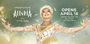 Alegría: In A New Light | Cirque du Soleil Wiki | Fandom