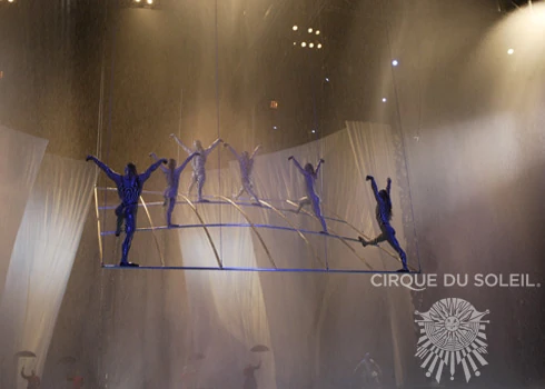 Cadre | Wiki Cirque | Fandom