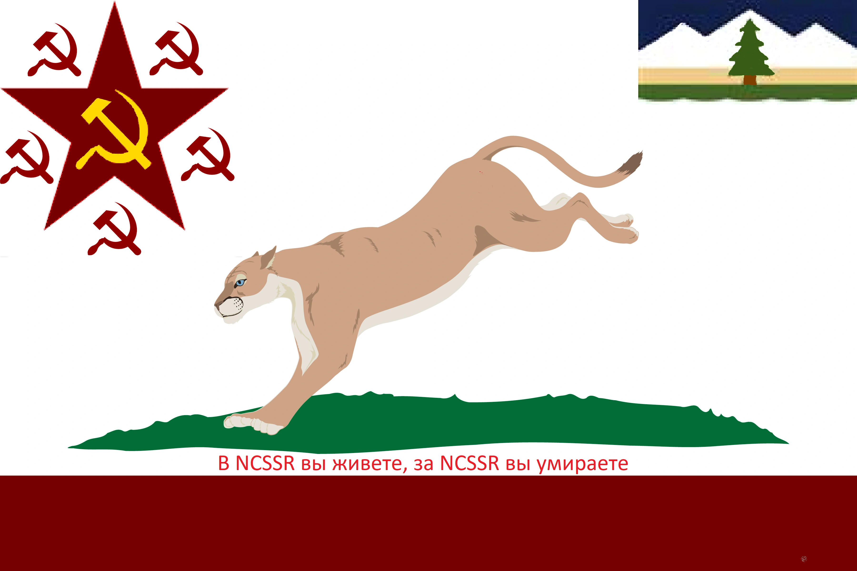 NCSSR | Cities War Wiki | Fandom